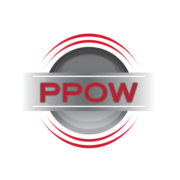 PPOW - Reflexes and Activation (Module 4)